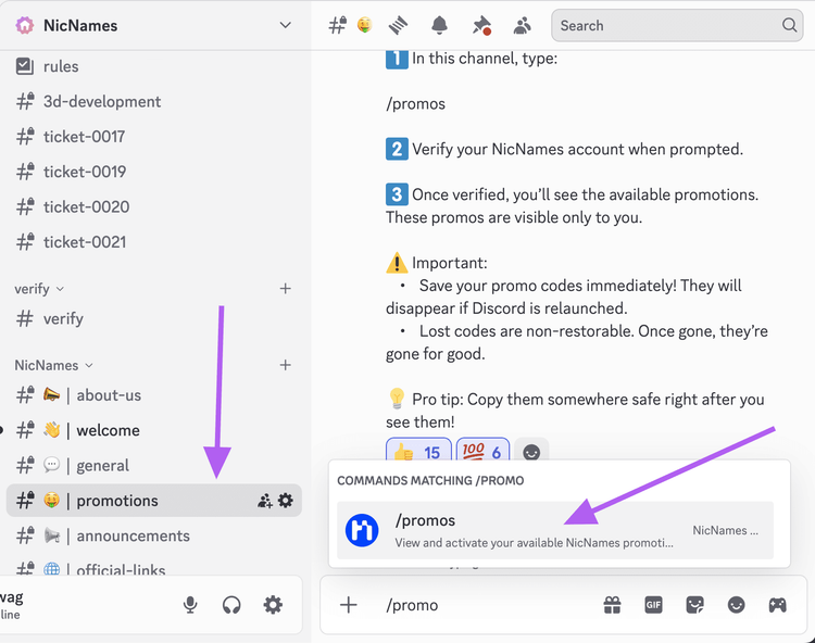 How to Get a NicNames Promo Code via Discord | NicNames.com